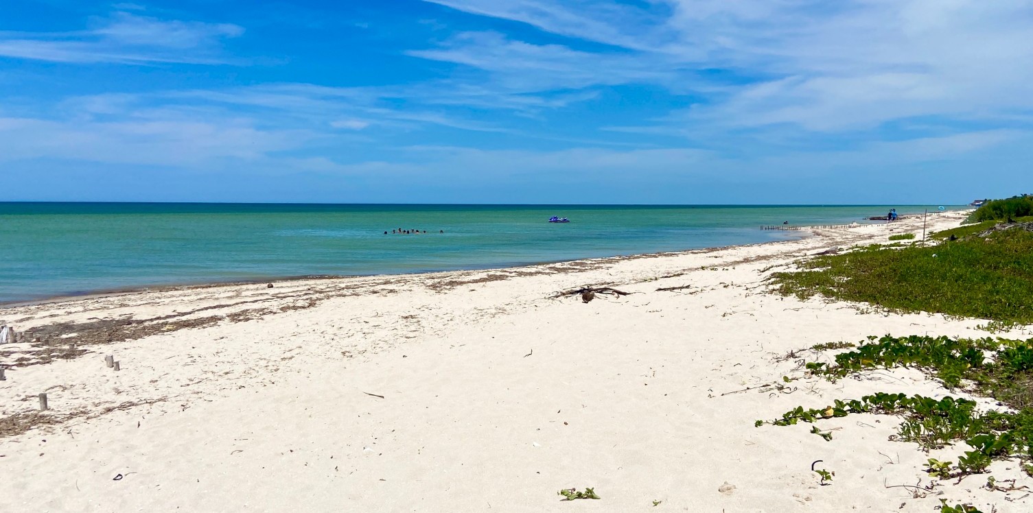 Lote en Chicxulub Puerto - Mudarse a Mérida