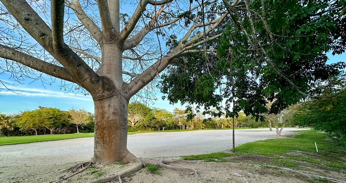 KILIL | Yucatan Country Club preventa de residencias - Mudarse a Mérida